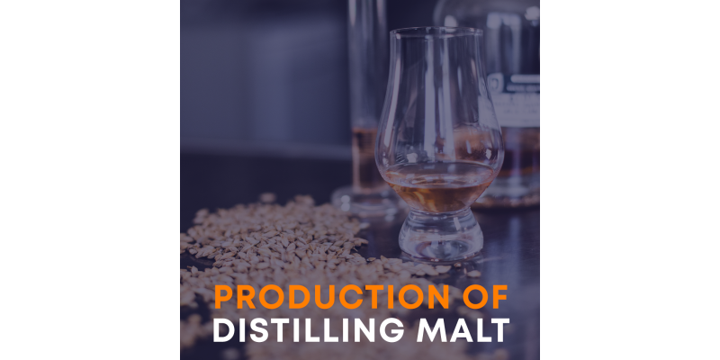 Blog - The Production of Distilling Malt